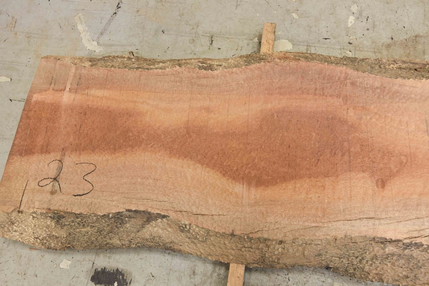 Sapele Board BC4098 – Hearne Hardwoods Store