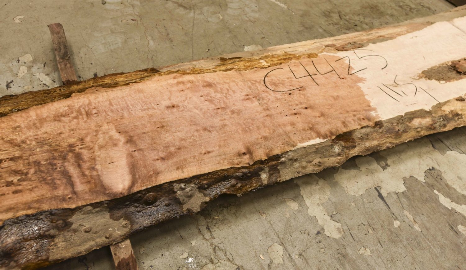 Maple (Big Leaf) Board BC4425 – Hearne Hardwoods Store