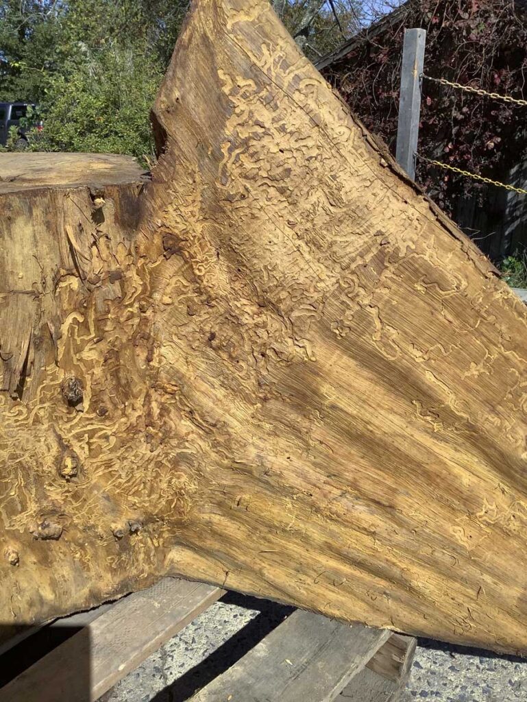 Nargusta YouNameIt YNI02 – Hearne Hardwoods Store